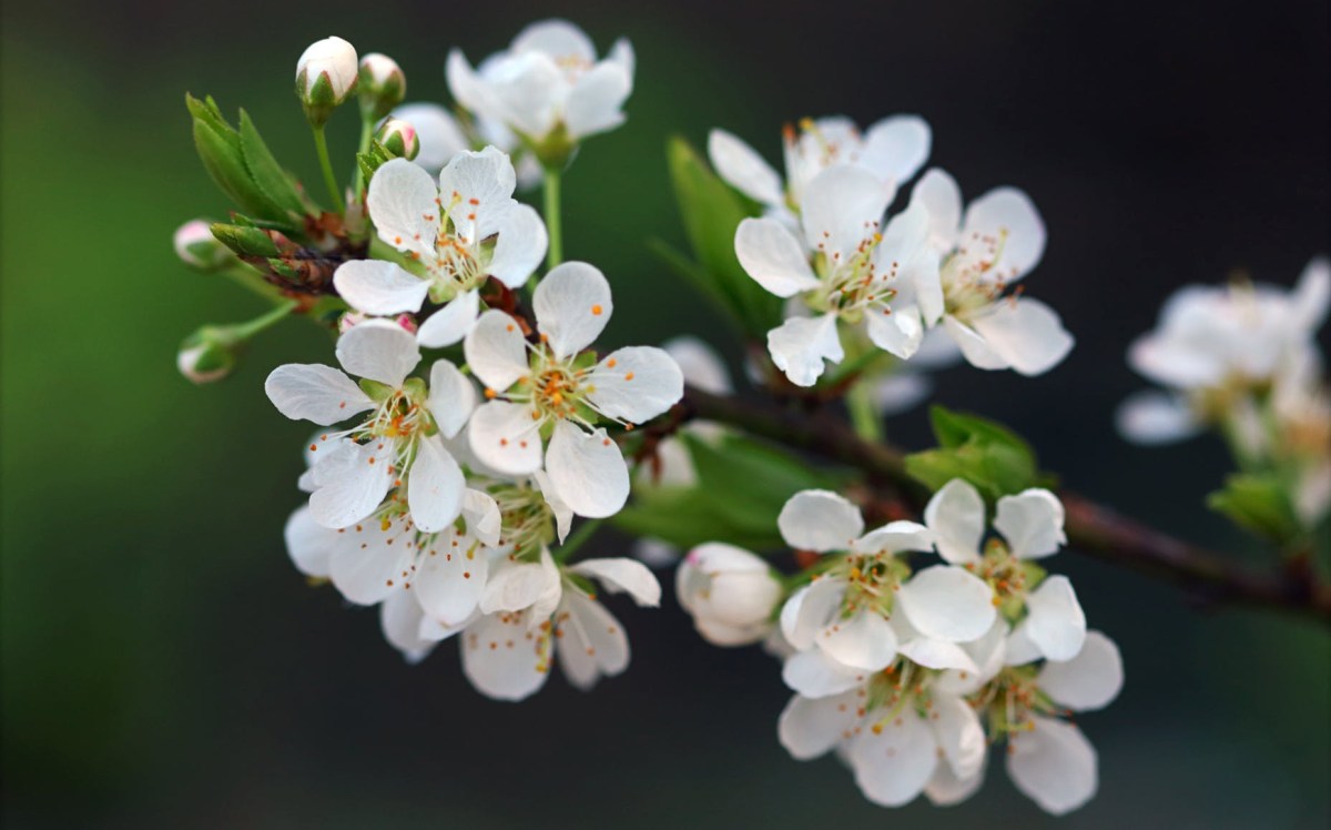 Everyone Is Valuable – Messages For Inspiration